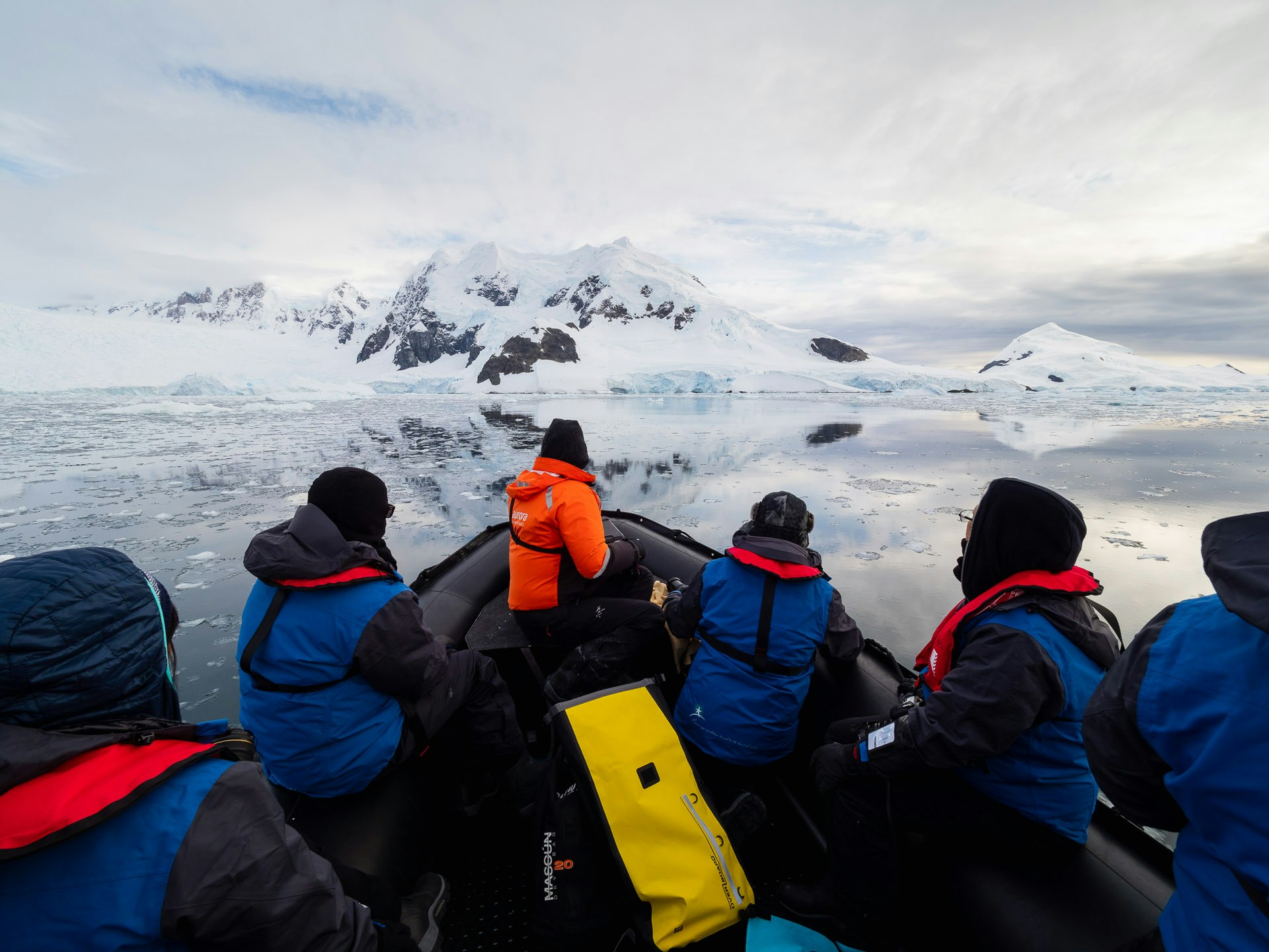 Antarctica Cruises & Expeditions: Book Your Adventure Today - Aurora ...
