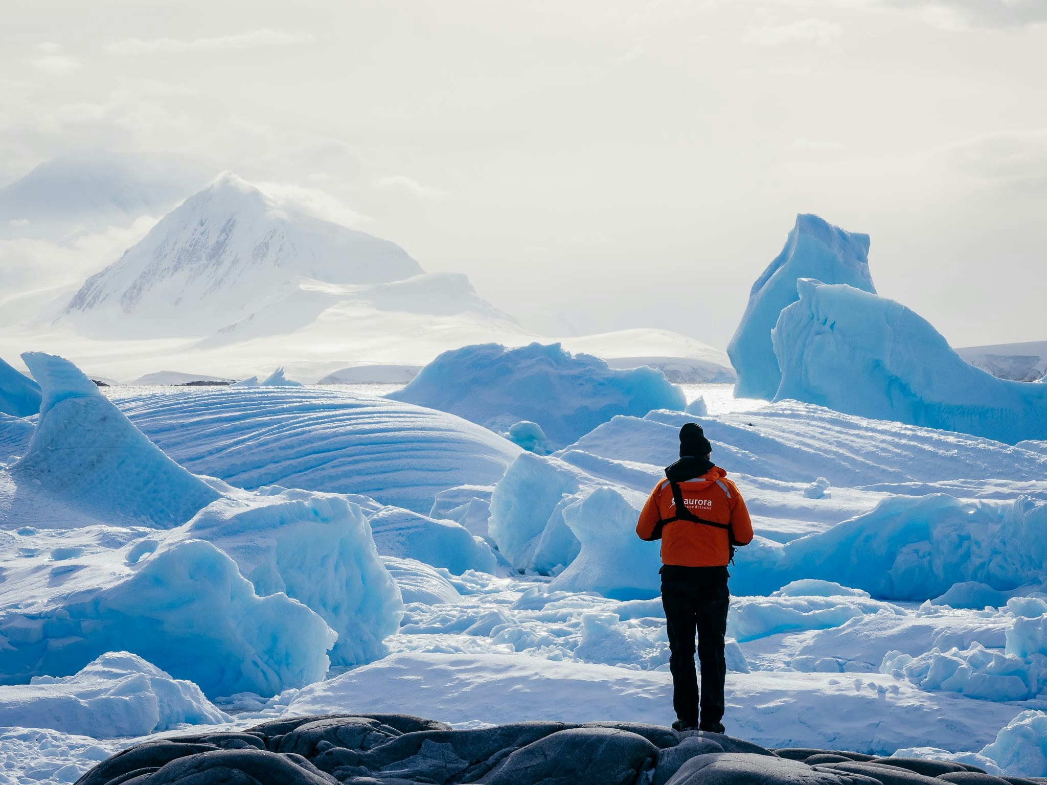 Solo Cruise Deals | No Single Supplement - Aurora Expeditions