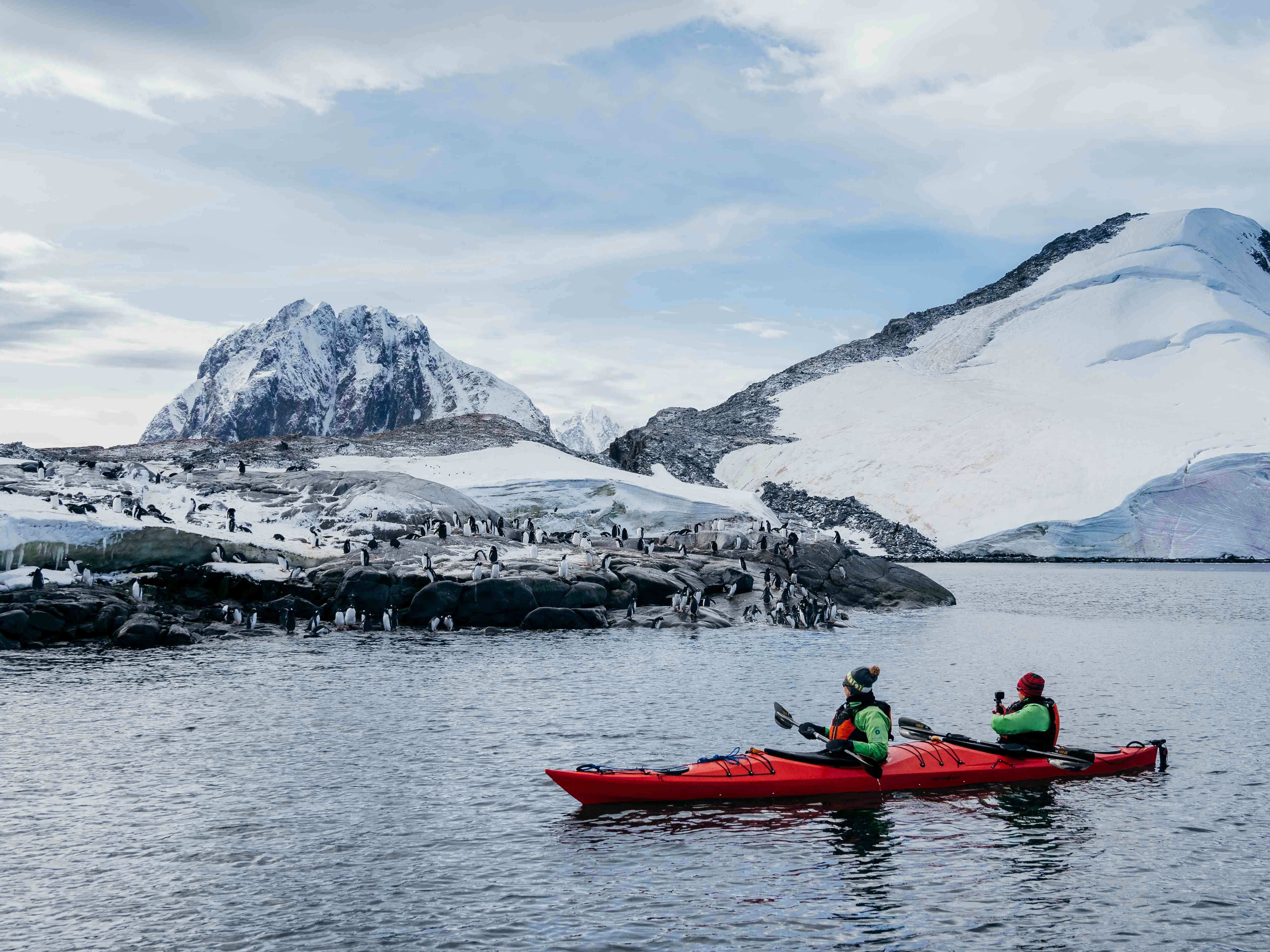 Antarctic Explorer | Award Winning Cruise to Antarctica - Aurora ...